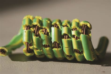 How To Stop Rodents From Chewing Electrical Wires Electrical Times