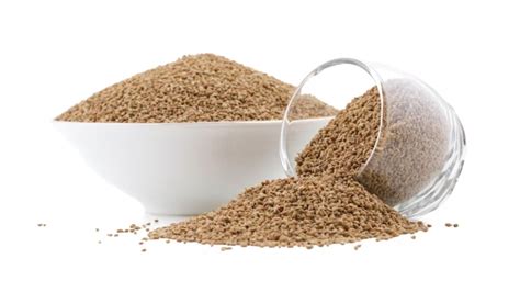 Ajwain Leaves Medicinal And Culinary Uses You Didnt Know Food News