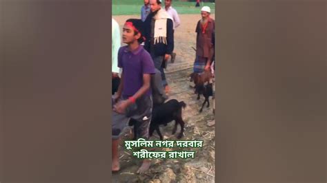 মুসলিম নগর দরবার শরীফের রাখাল 𝐕𝐨𝐢𝐜𝐞 𝐨𝐟 𝗠𝗨𝗦𝗟𝗜𝗠 𝗡𝗔𝗚𝗔𝗥 Youtube