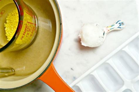 A Diy To Try Bug Repellent Cubes Jenni Raincloud