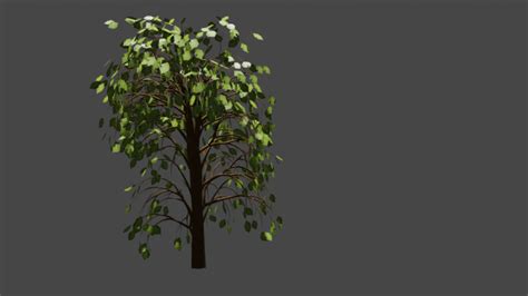 Bigtree 3d Models Download 3d Bigtree Available Formats C4d Max