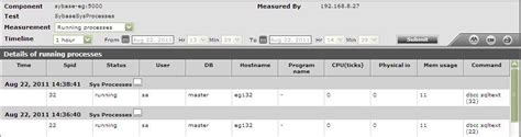Sybase System Processes Test