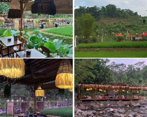Cafe Resto Di Sentul Yang Instagramable View Bagus Travelandword