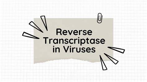 Reverse Transcriptase Advances In Biological Science Pptx