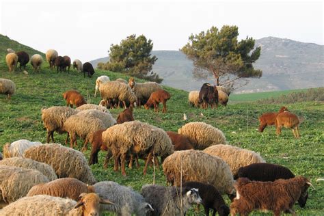 Best Time To Visit Azerbaijan