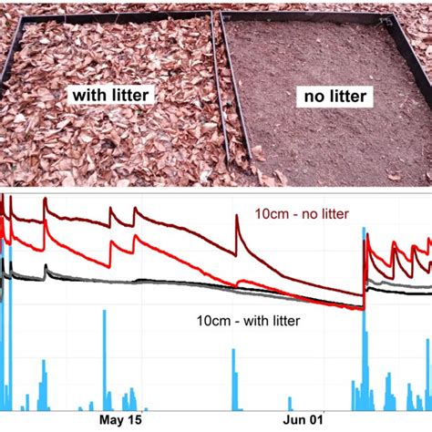 Plot Experiments With And Without A Broadleaf Litter Layer A Showing