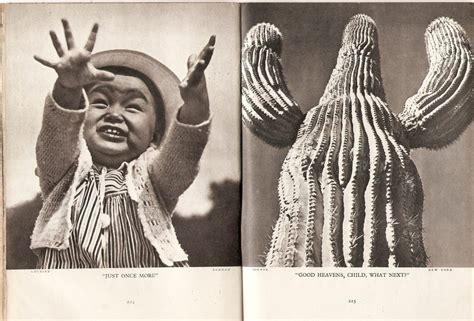 Lilliput Magazine 27 Flashbak