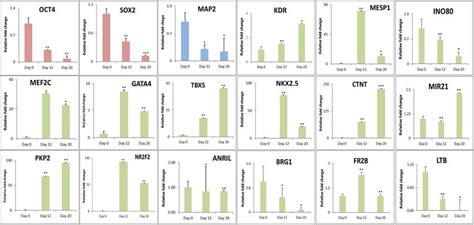 Validation Of Microarray Data By Qrtpcr Qrt Pcr Validation For The