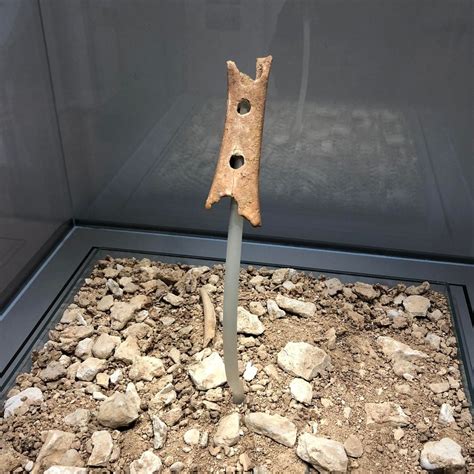 出埃及记 On Twitter 50000到60000年前的熊骨头制作而成的笛子，从现在的西斯洛文尼亚的一个尼安德特人洞穴聚居点的残骸中