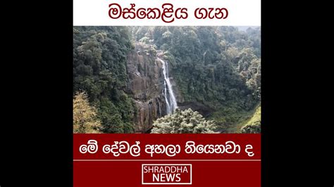 මස්කෙළිය ගැන මේ දේවල් අහලා තියෙනවාද Youtube