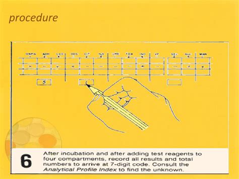 PPT Api E PowerPoint Presentation Free Download ID