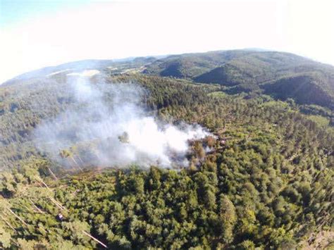 Vosges Feu De Forêt à Brouvelieures Les Images Capturées Par Le