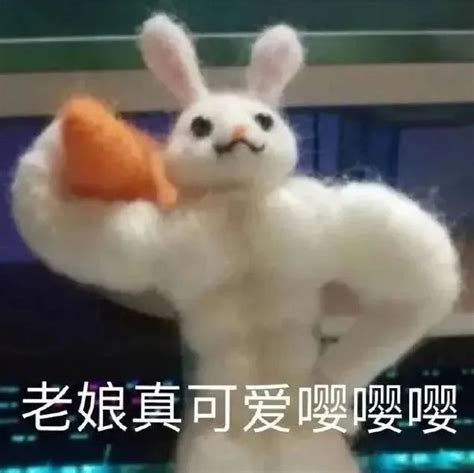 表情包 开门呐