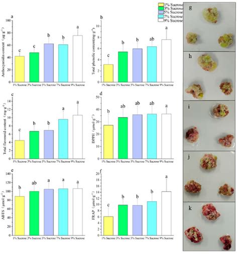 Agronomy Special Issue Plant Tissue Culture And Plant Somatic