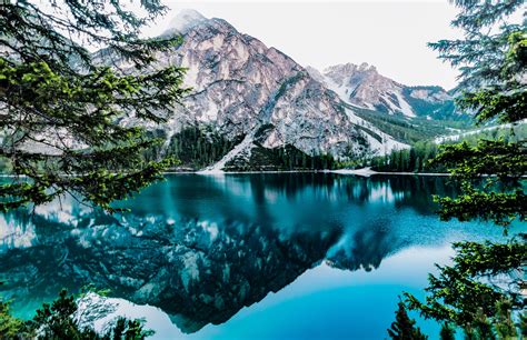 Images Gratuites lumière du jour forêt brillant Hd fond d écran