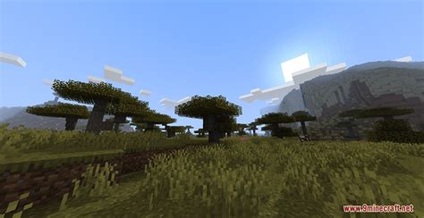 shadow only shaders 1minecraft