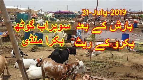 Goat Prices After Rain Sohrab Goth Bakra Mandi Update 31 July 2019