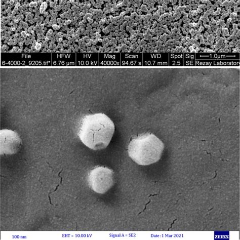 Scanning Electron Microscope Image A And Field Emission Scanning
