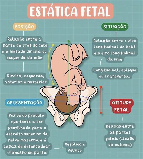 Estática Fetal Saúde Coletiva
