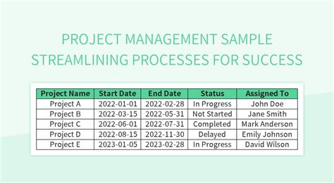 Project Management Sample Streamlining Processes For Success Excel