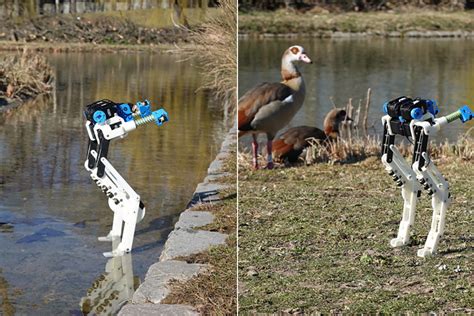 Max Planck Institute S Birdbot Needs Fewer Motors Could Be Scaled To