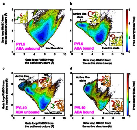 4 Effect Of Aba Binding On The Gate Loop Conformation Of The Pyl5 And Download Scientific