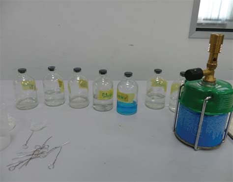 Biological Lab Dissection Archives Heads Up International