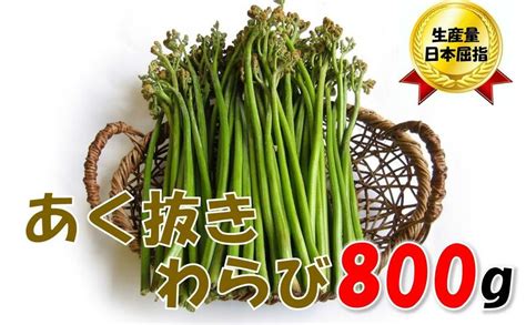 写真 【ふるさと納税】〈寄付金額 約1万円〉山の恵みをいただきます！健康にもいい山菜の返礼品3選！山形県西置賜郡小国町ほか 事前に必ず前