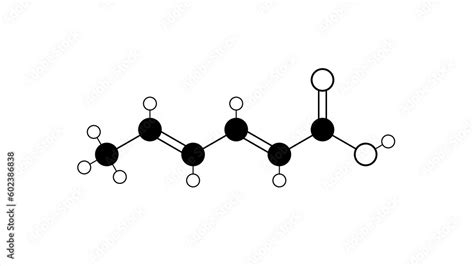 Sorbic Acid Molecule Structural Chemical Formula Ball And Stick Model Isolated Image Food