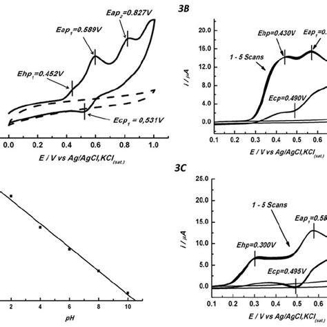 Cyclic Voltammograms Obtained In A Solution Of 10 Mmol L Of Mtm In 1