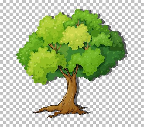Tree Png 이미지 Freepik에서 무료 다운로드