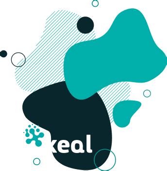 XEAL cumple años de compromiso con la mejora continua de la calidad de sus procesos Xeal