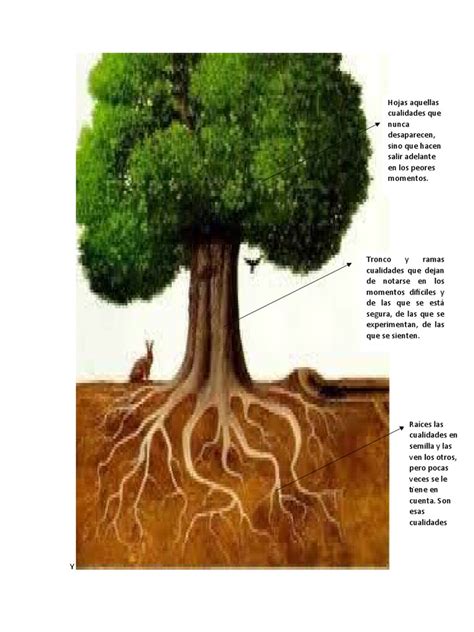 Tree Exercise Español Pdf