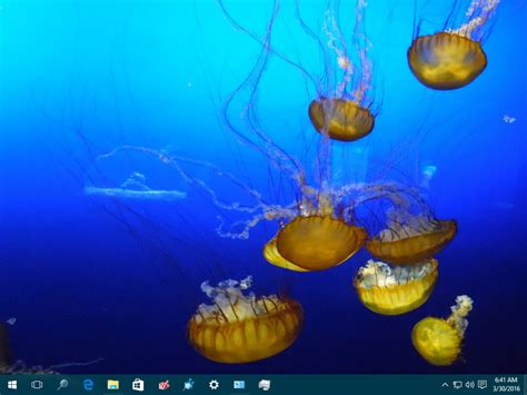 How To Reformat Windows 10 That Errors Wesrecords