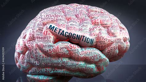 Metacognition In Human Brain Hundreds Of Crucial Terms Related To