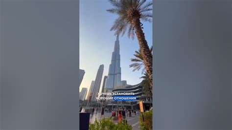 Правила В Общении С Местными В Дубае 🇦🇪🤝🏻 иммиграция жизньвдубае