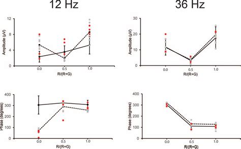 erg results at 12 hz left graphs and at 36 hz right graphs for