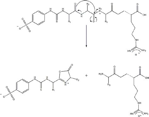 Figure S3 Tmpp Derivatization Of Peptides Download Scientific Diagram