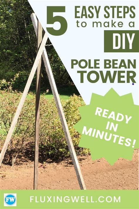DIY Pole Bean Trellis Towers For Your Garden Pole Beans Pole Bean Trellis Bean Trellis