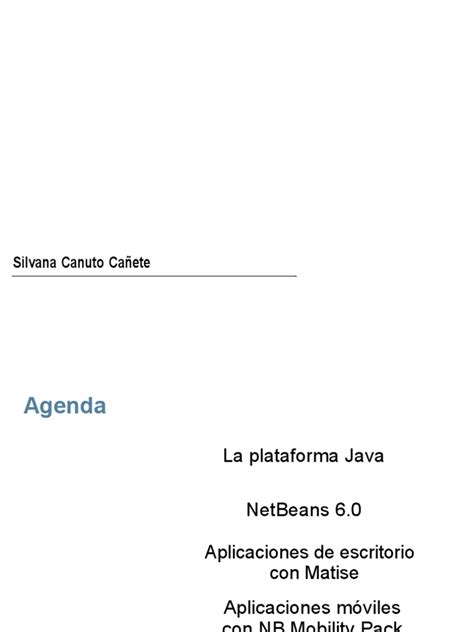 Tecnologias De Java Usando Netbeans Pdf Java Plataforma De