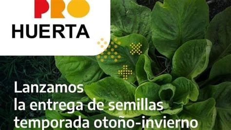 El Programa Pro Huerta Lanza Una Nueva Temporada De Entrega De Semillas