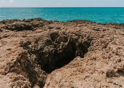The Truth About Oahus Mermaid Cave Plus How To Find It