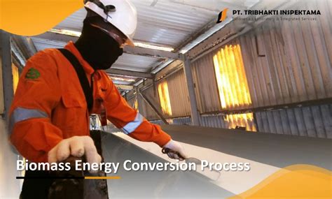 Biomass Energy Conversion Process With Tribhakti Inspektama Pt