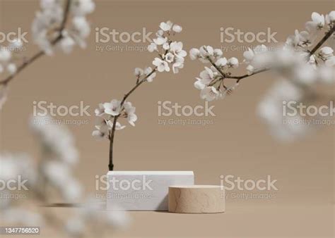 3d 배경 베이지 색 연단 둥근 디스플레이 벚꽃 나무 나뭇 가지 화장품 또는 미용 제품 프로모션 스텝 스톤 플로럴 받침대 추상 적 최소한의 광고 3d 렌더 복사 공간 템플릿