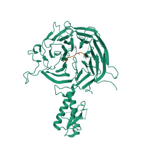 Rcsb Pdb 5m5g Crystal Structure Of The Chaetomium Thermophilum