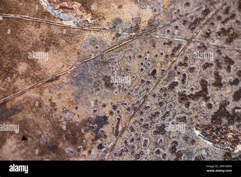 Burnt Metal Of Hard Drive CD Disk With Bubbled Texture Background Asset Stock Photo Alamy