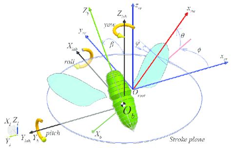 Coordinate Systems And Definition Of Right Wing Euler Angles