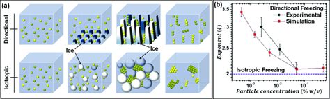 A Schematic Representation Of The Time Dependent Structural Evolution Download Scientific