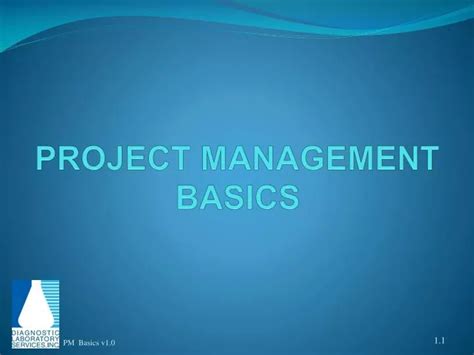 PPT PROJECT MANAGEMENT BASICS PowerPoint Presentation Free Download ID