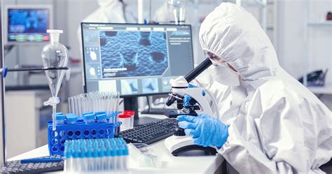 School Of Biotechnology Bioinformatics DY Patil